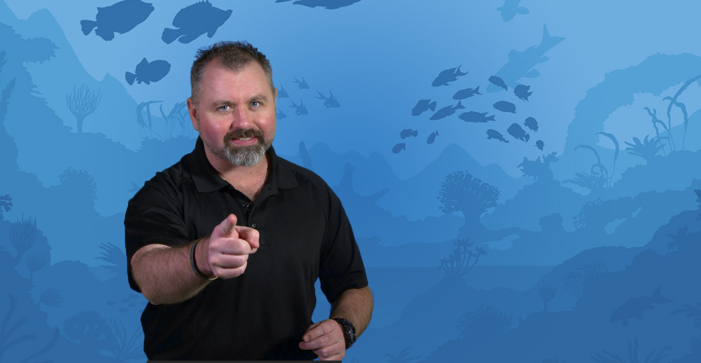 The Team | Blue Whale Learning